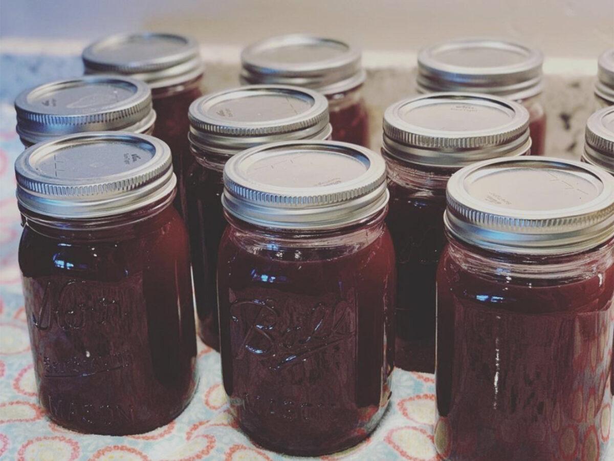 Home - homesteadgardenfarm.com